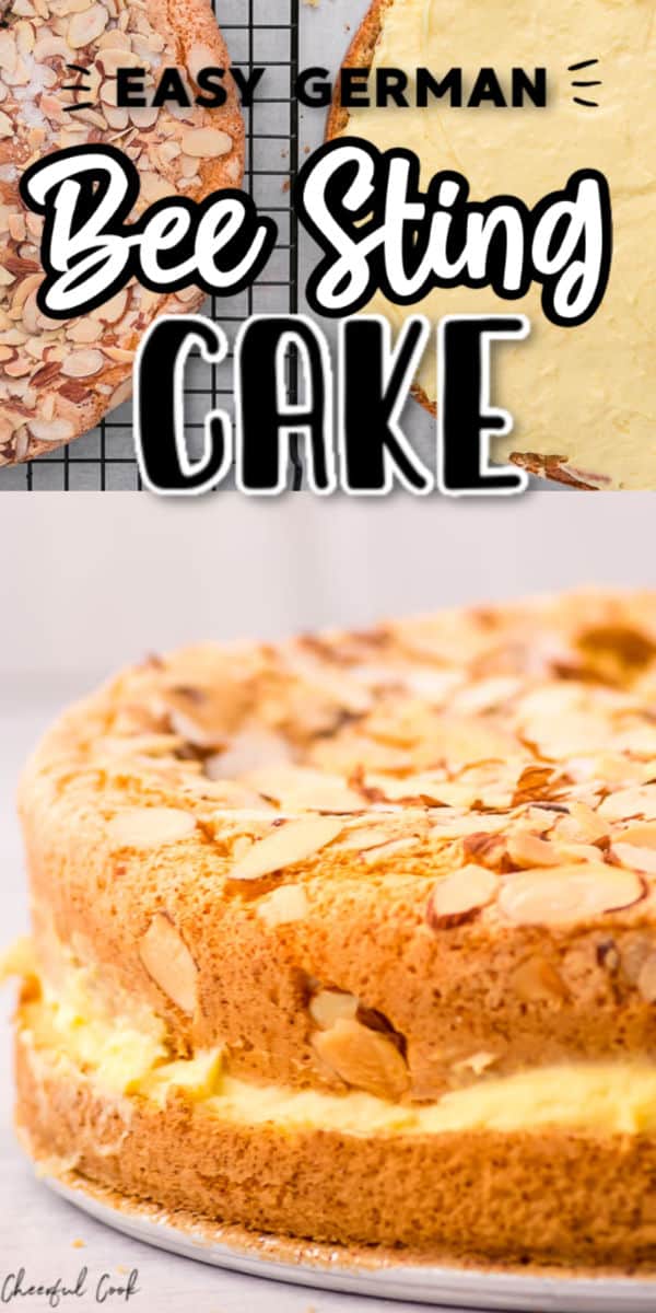 The Easiest German Bee Sting Cake Recipe (Bienenstich) - Cheerful Cook