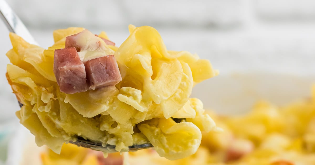 German Ham and Egg Noodle Casserole - Cheerful Cook