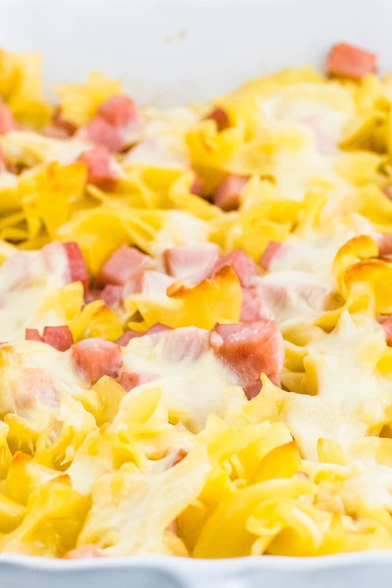 German Ham and Noodle Casserole (Nudelauflauf)