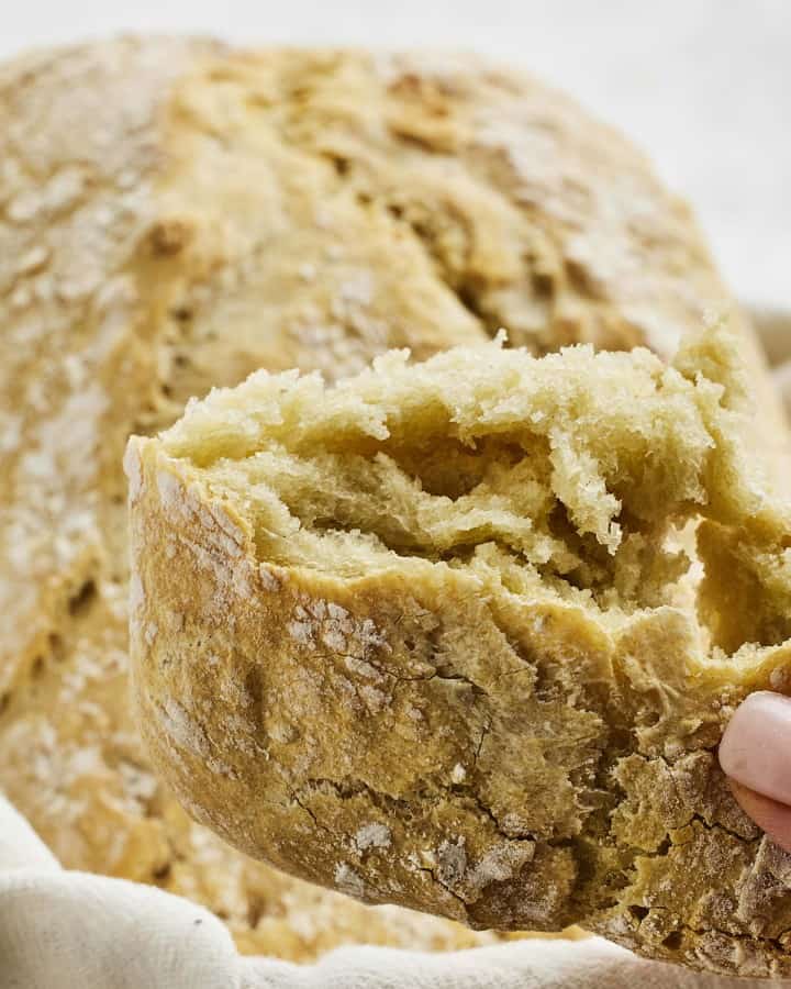 Easy 3-Ingredient Bread (Steam Baked, 35 minutes)