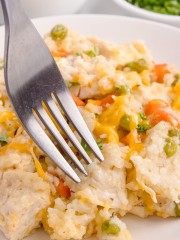 Easy Crockpot Chicken and Rice - A Perfect Family Dinner