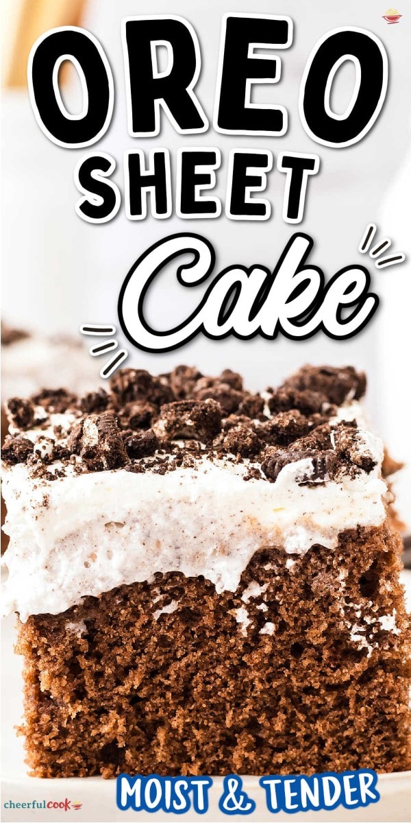 Easy Oreo Sheet Cake The Whole Family Will Love