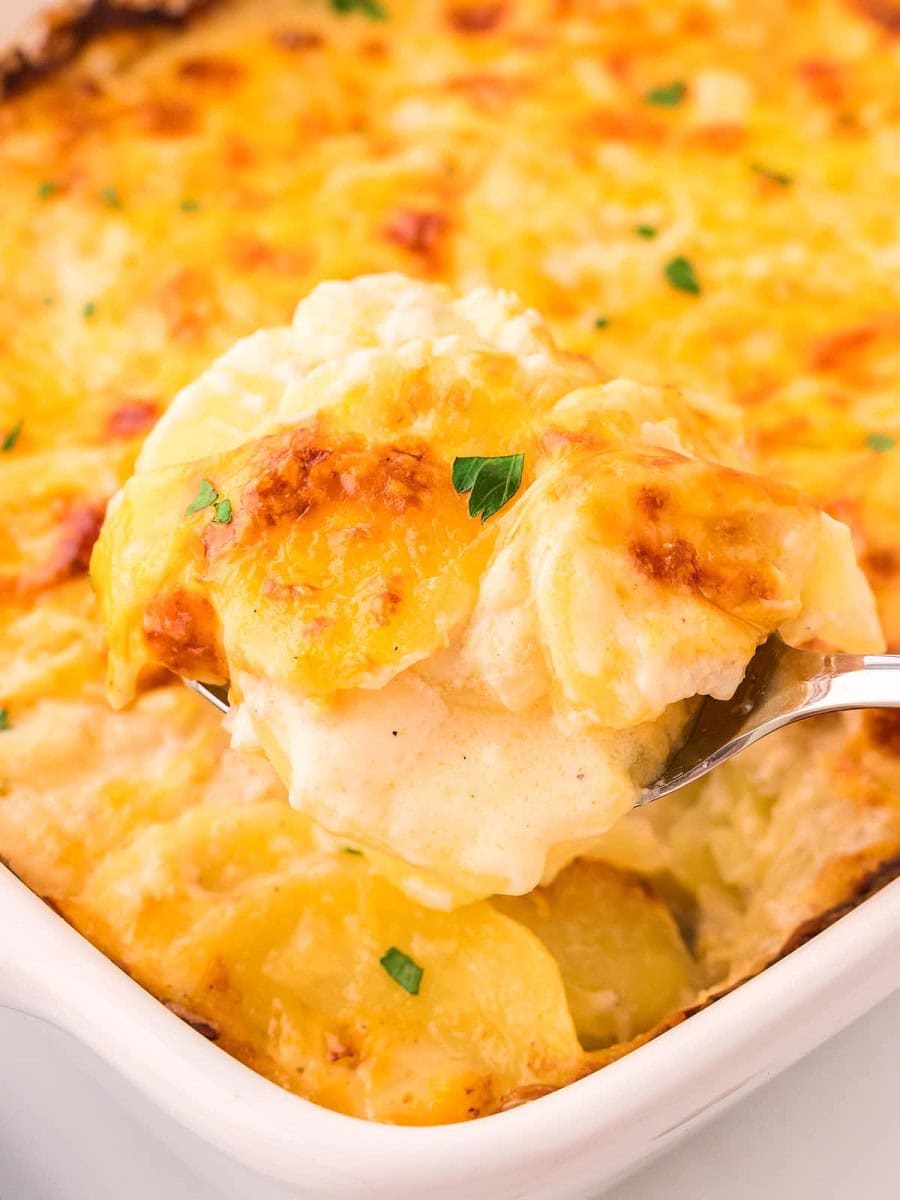 Starbucks Cake Pops (Easy Copycat Recipe) - Cheerful Cook