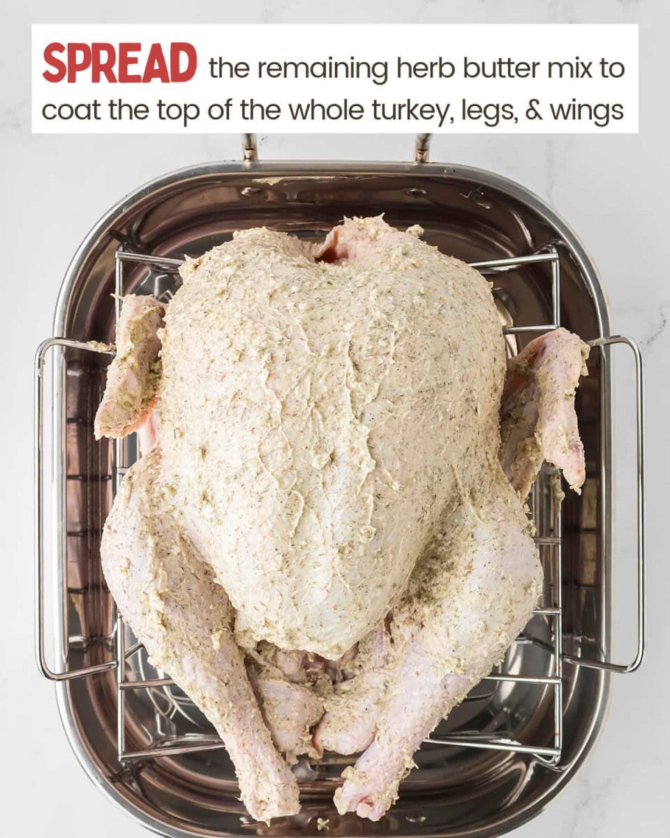 Easy Thanksgiving Turkey Recipe