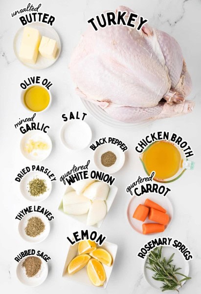 Easy Thanksgiving Turkey Recipe
