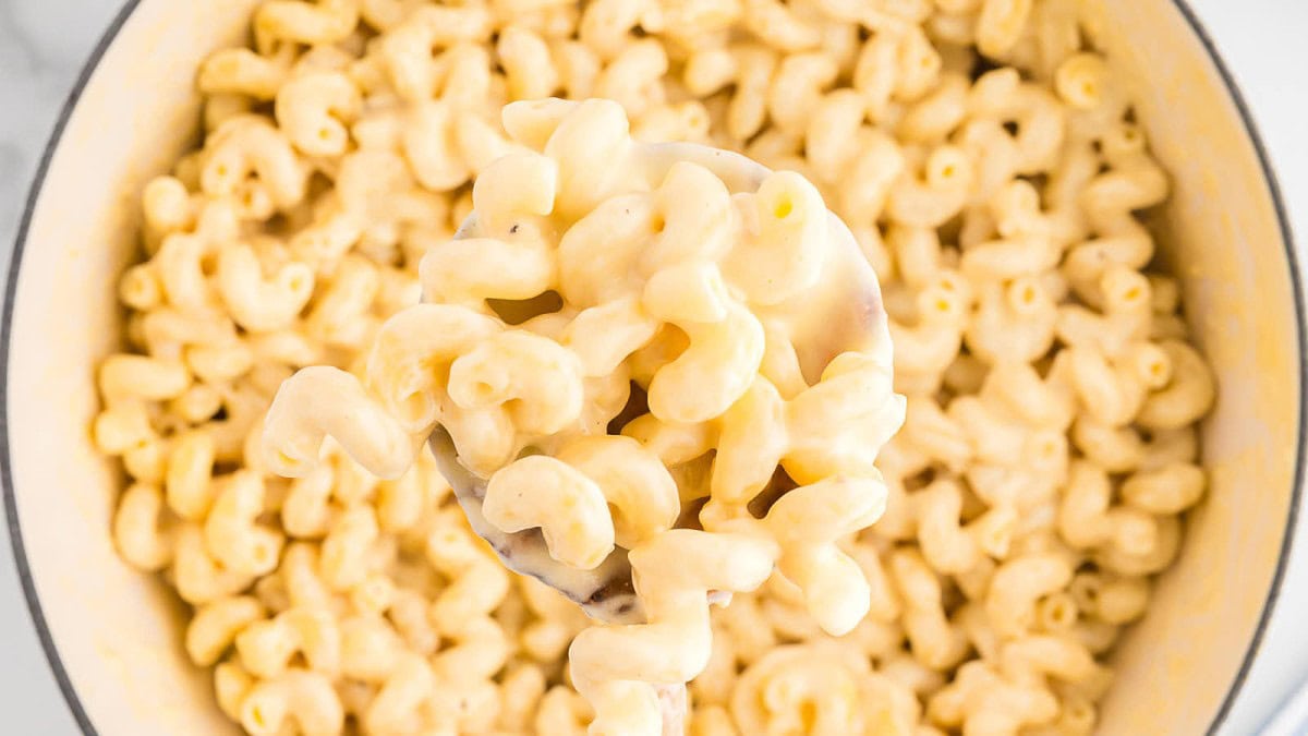 Best Homemade Mac and Cheese (Easy One-Pot Recipe)