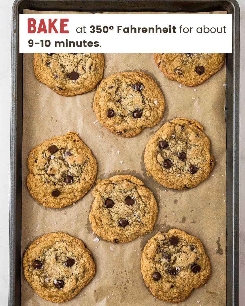 Easy Small Batch Chocolate Chip Cookies